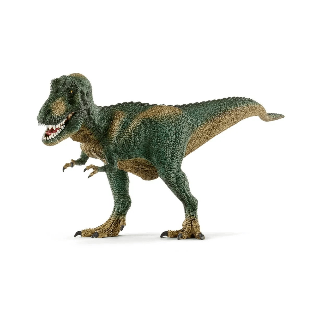 Tyrannosaurus Rex – Tools 4 Teaching